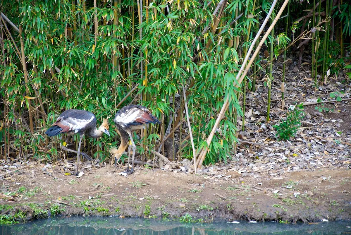 15 Lesser-Known Attractions in Pretoria You Must Visit - Secret Attractions