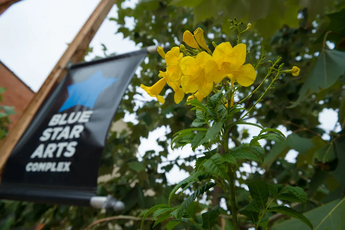 15 San Antonio Hidden Gems You Must Discover