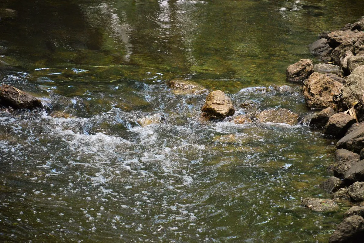 15 Houston Hidden Parks You Must Explore