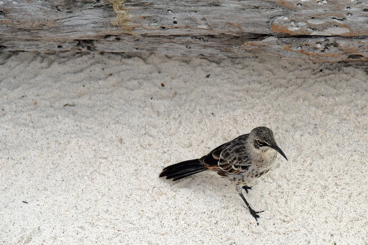 15 Hidden Beaches in Darwin You Must Explore