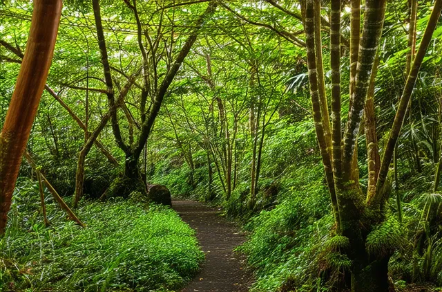 15 Hidden Nature Spots in Port Louis You Must Visit - Secret Attractions