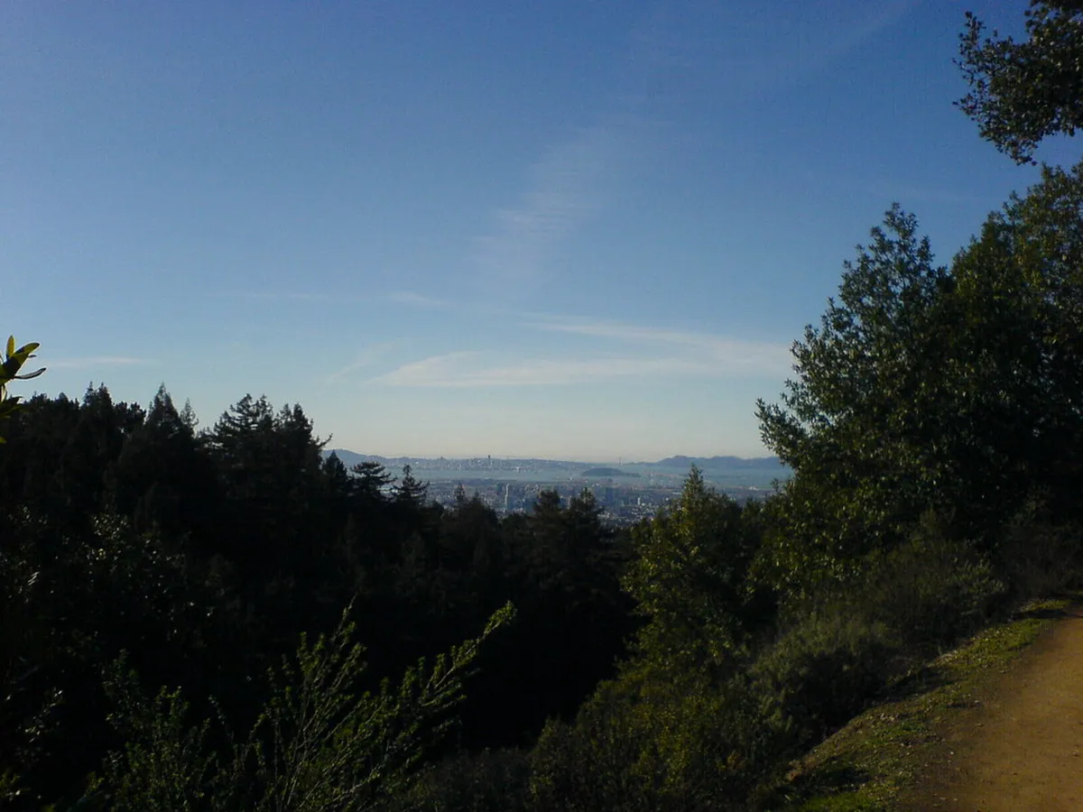 10 Oakland Hidden Parks You Must Explore