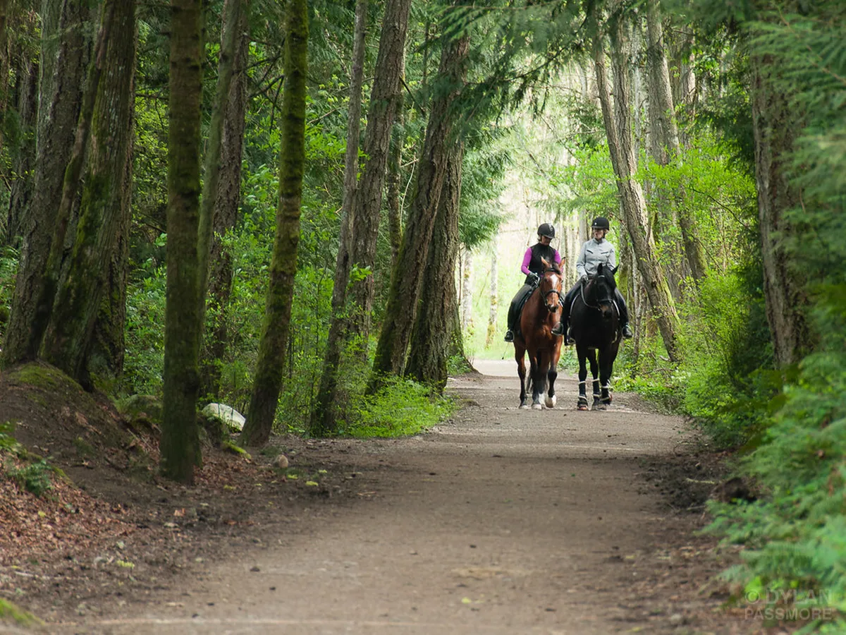 10 Victoria Hidden Hiking Trails You Must Explore
