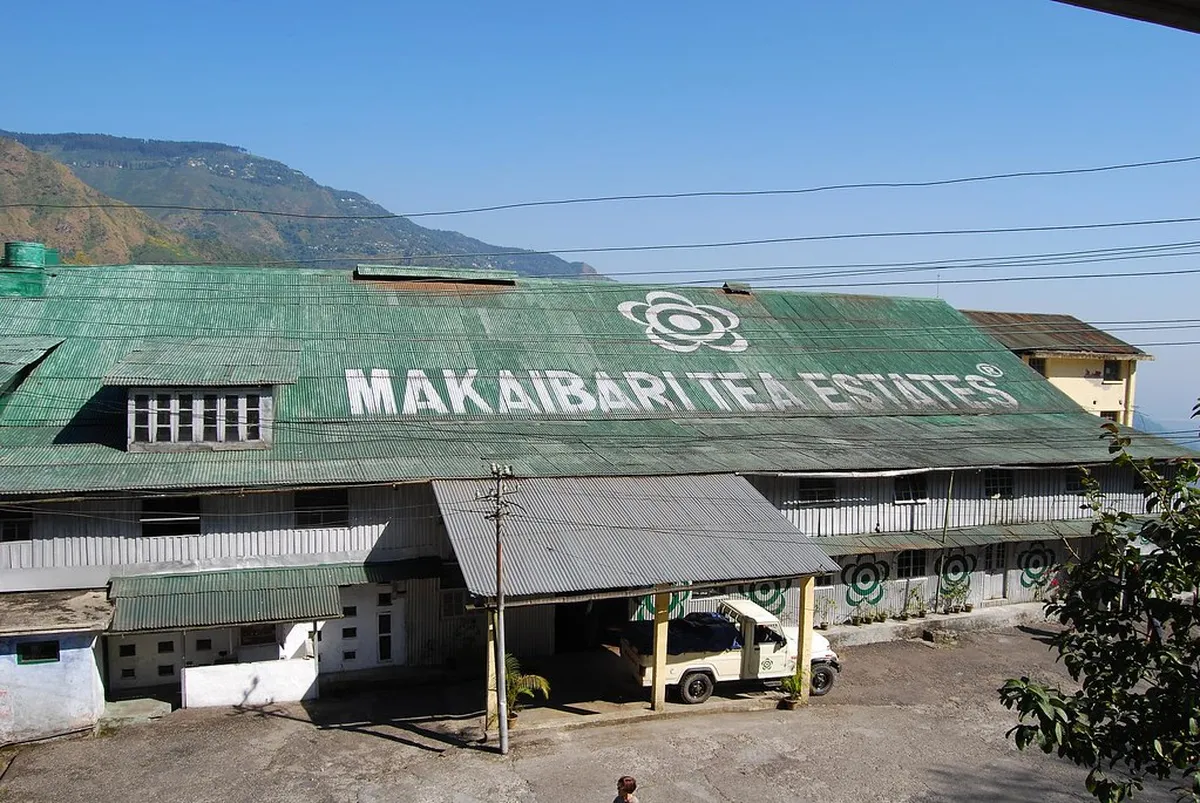 Discover Darjeeling's Hidden Tea Gardens - Secret Attractions