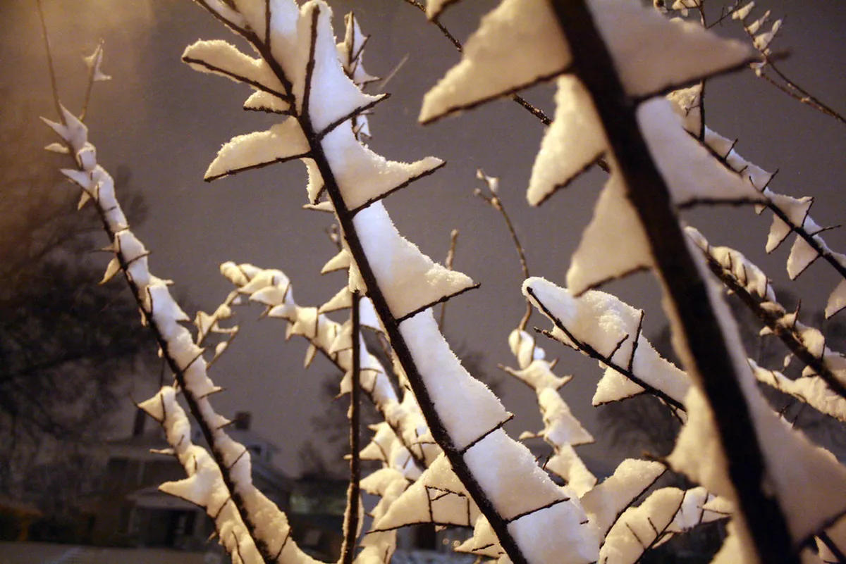 15 Unexplored Neighborhoods of Memphis You Must Visit