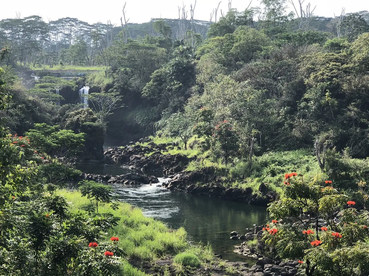 10 Hilo Hidden Waterfalls You Must Explore