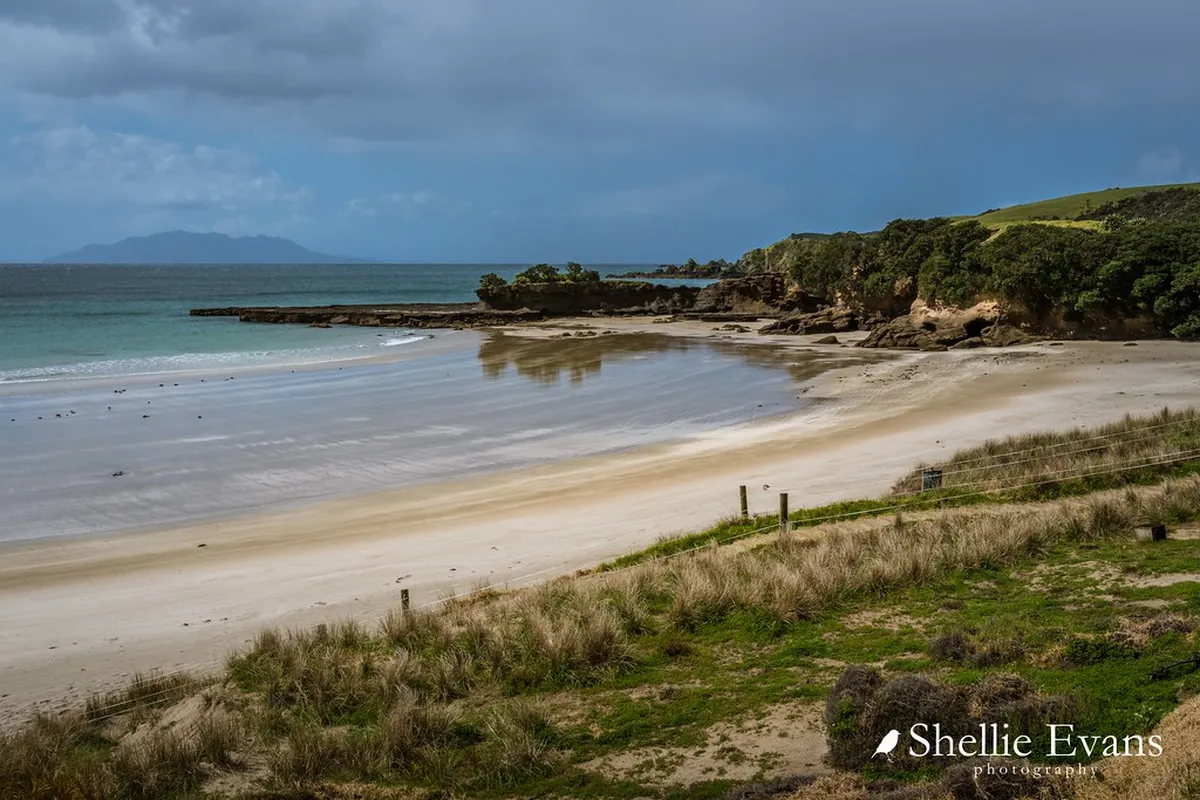 15 Auckland Hidden Beaches You Must Discover