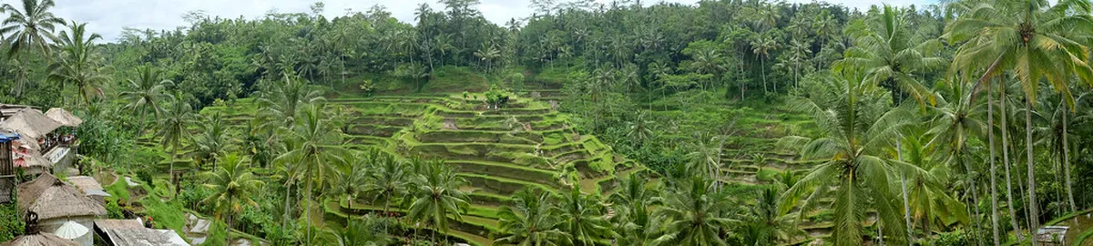 10 Hidden Rice Terraces in Ubud You Must Visit