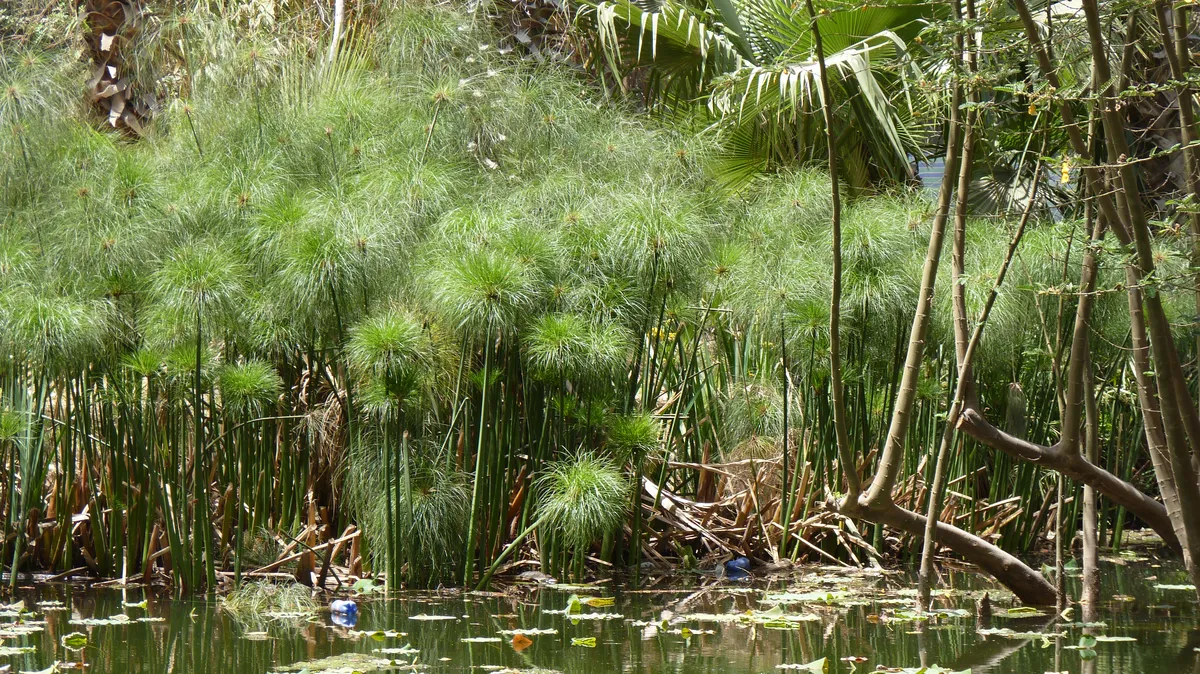 15 Hidden Natural Areas in Cairo You Must Explore