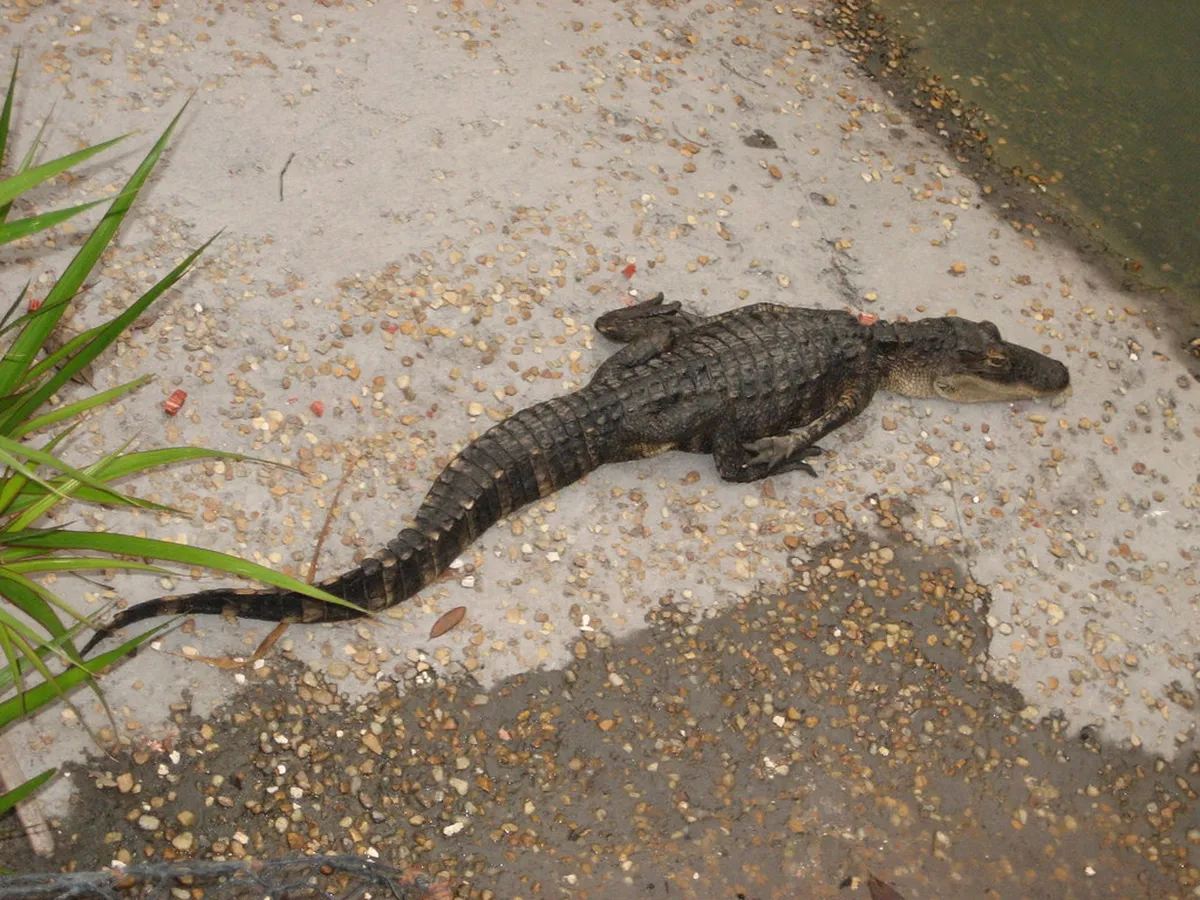 10 Secret Dining Spots in Savannah You Can't Miss