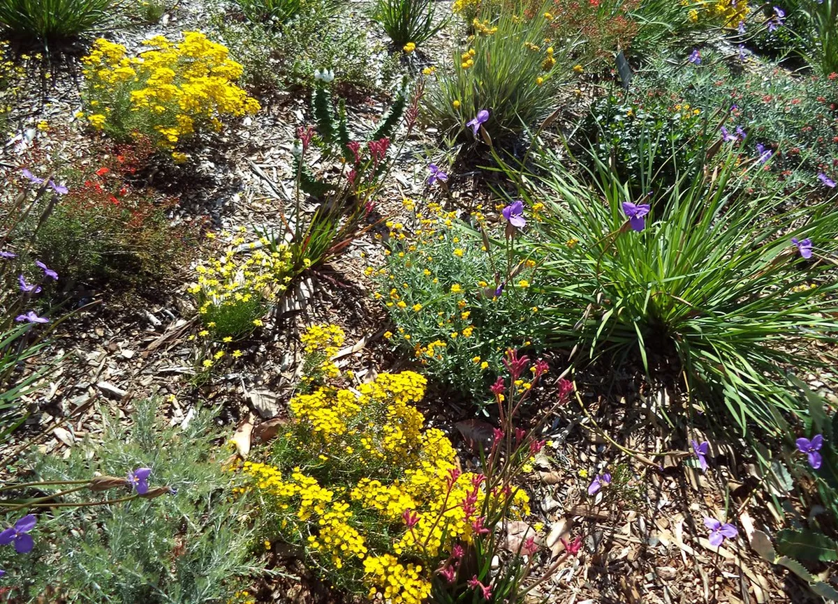 Discover Perth's Secret Gardens You Must Visit