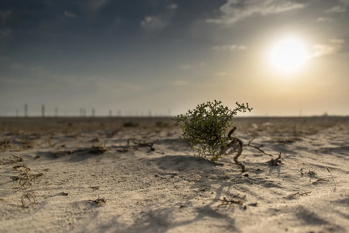 Discover Kuwait City's Lesser-Known Beaches