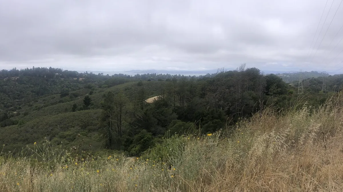 10 Lesser-Known Hiking Trails in Berkeley - Secret Attractions