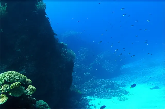 Discover Unexplored Diving Spots in Puerto Galera - Secret Attractions