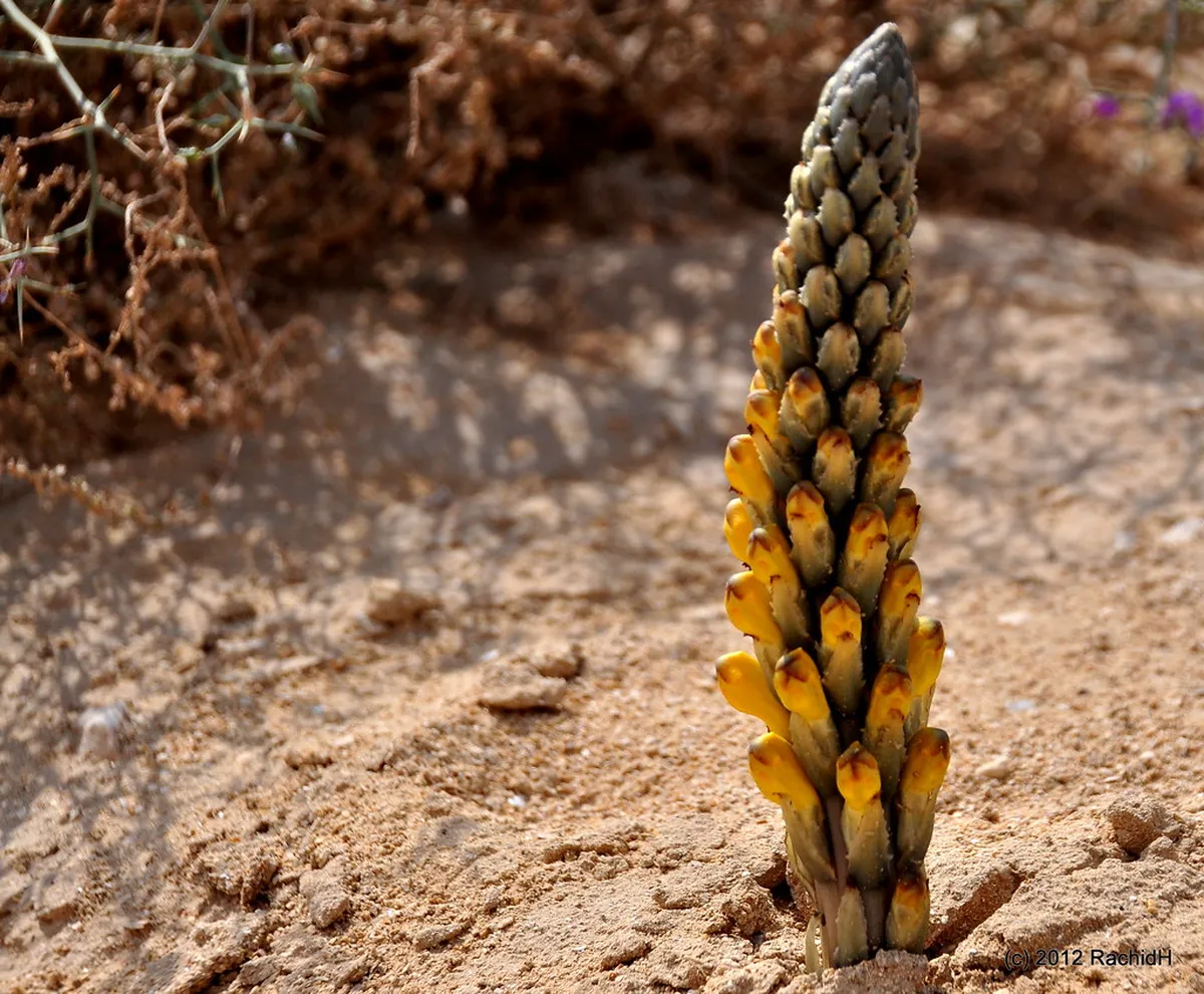 15 Hidden Natural Areas in Cairo You Must Explore